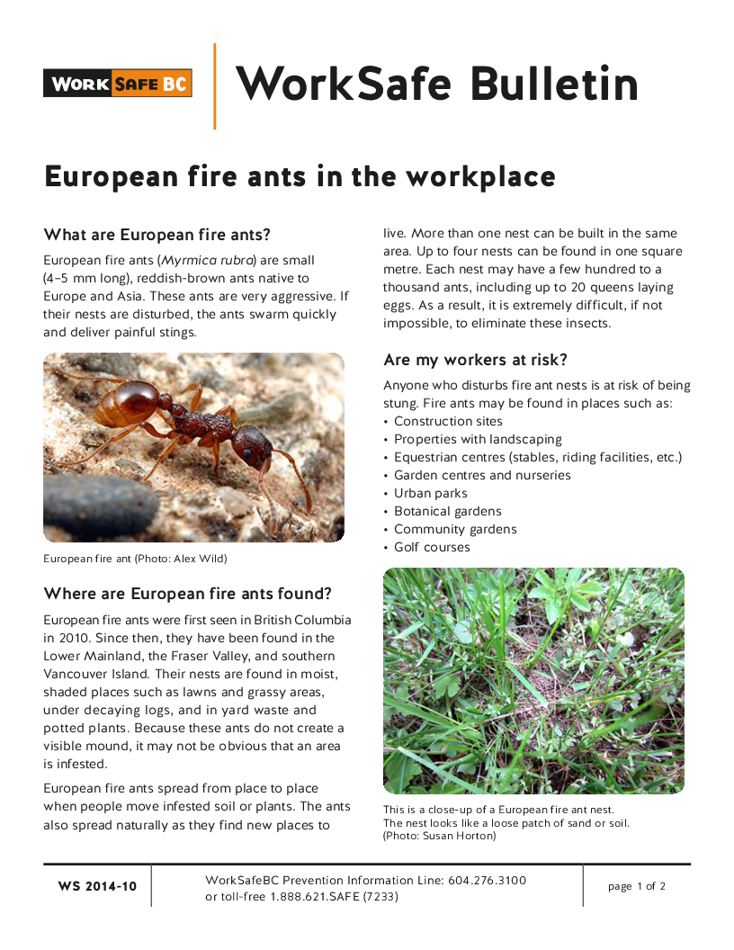 Wildlife & insects - WorkSafeBC