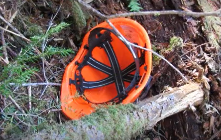 Manual falling & bucking - WorkSafeBC